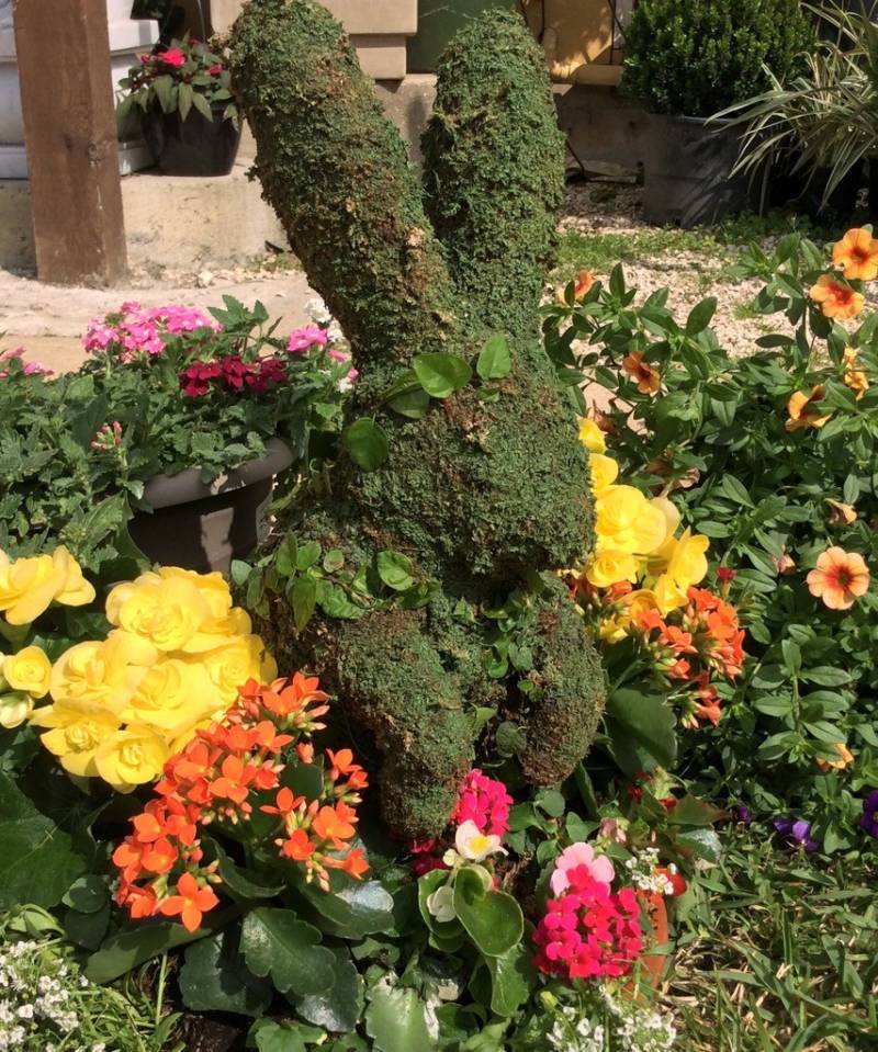 Enhancing the Day-to-Day with Topiary | River Oaks Plant House