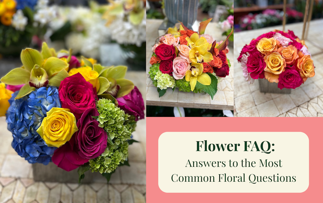 Flower FAQ: Answers to the Most Common Floral Questions | River Oaks ...